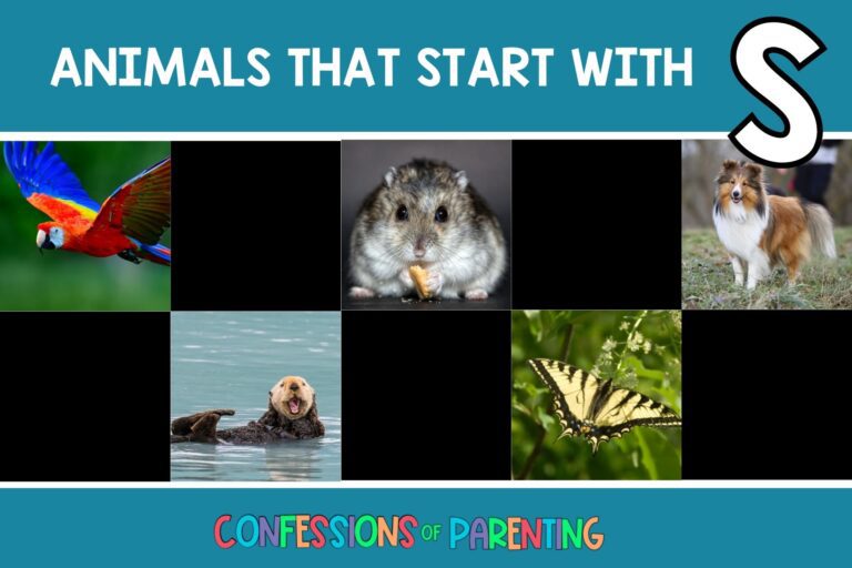 373 Spectacular Animals that Start with S