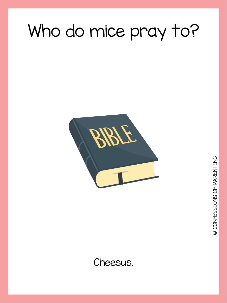 120 Bible Jokes to Add Some Humor to Your Bible Study