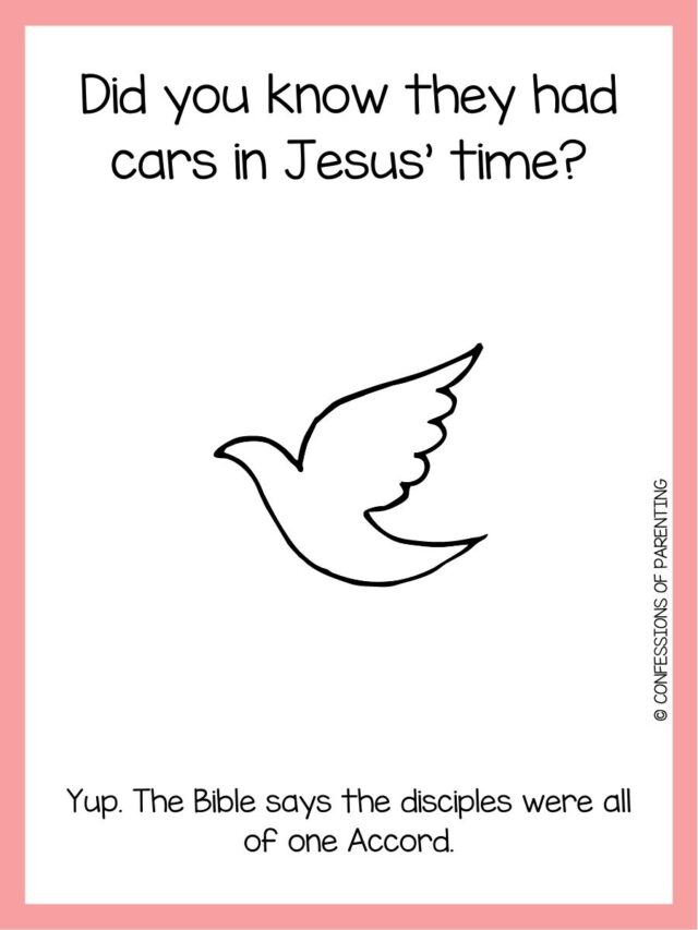 120 Bible Jokes to Add Some Humor to Your Bible Study