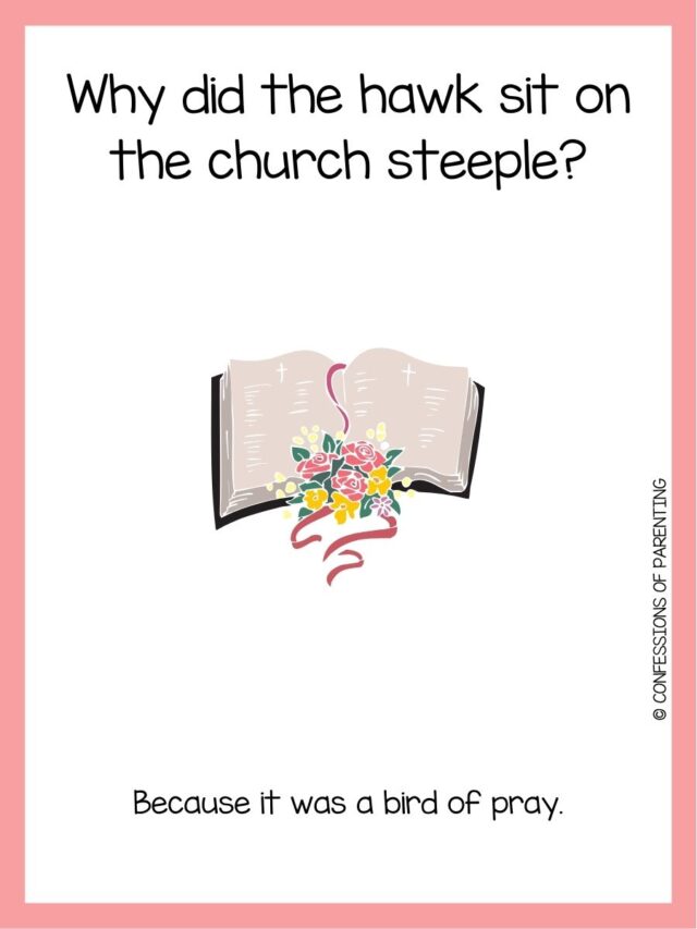 120 Bible Jokes to Add Some Humor to Your Bible Study