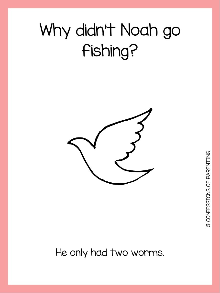 120 Bible Jokes to Add Some Humor to Your Bible Study [Free Joke Cards]