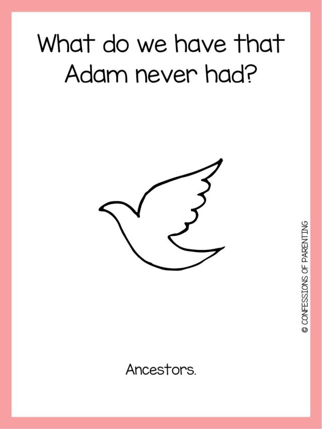 120 Bible Jokes to Add Some Humor to Your Bible Study