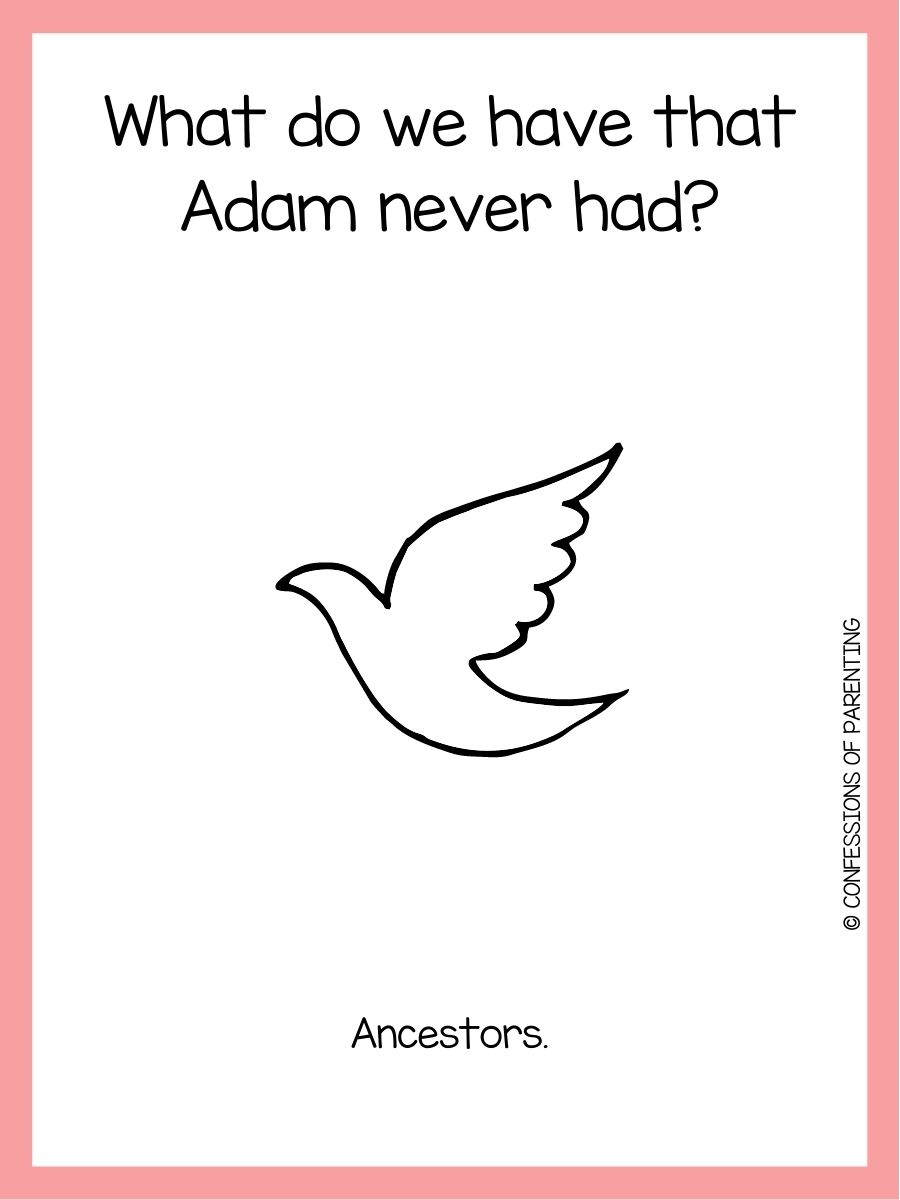 120 Bible Jokes to Add Some Humor to Your Bible Study