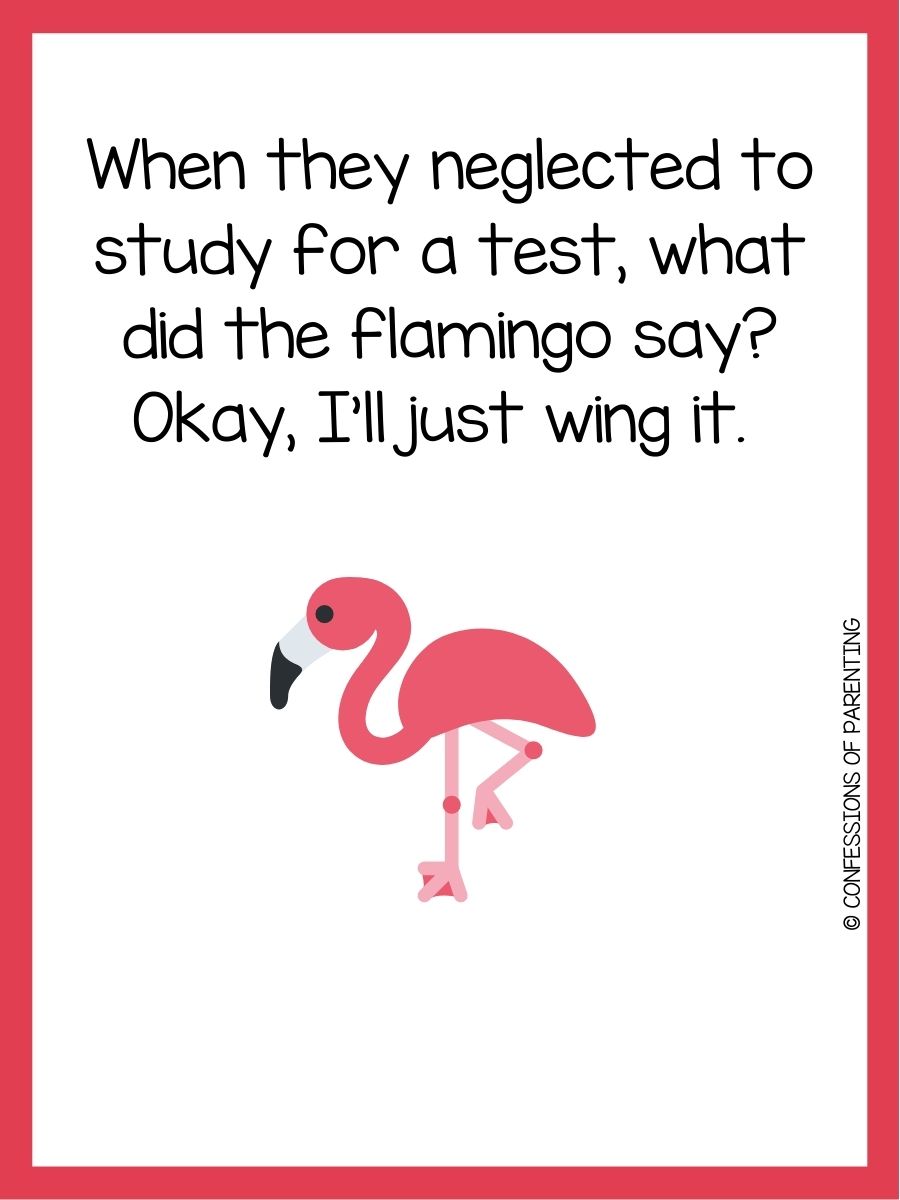 200 Flamingo Puns That Make You Flap With Fun
