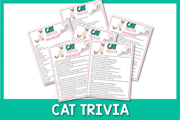 50 Purr-fect Cat Trivia Questions and Answers
