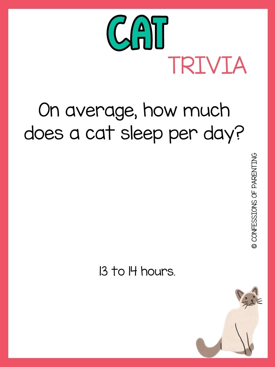 50 Purr-fect Cat Trivia Questions and Answers