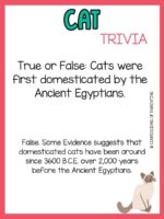 50 Purr-fect Cat Trivia Questions and Answers