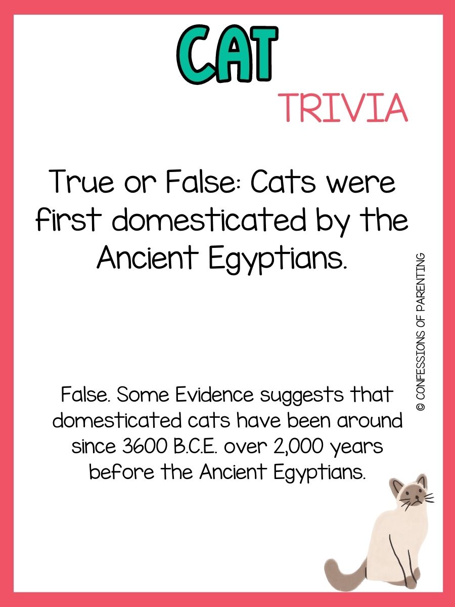 50 Purr-fect Cat Trivia Questions and Answers