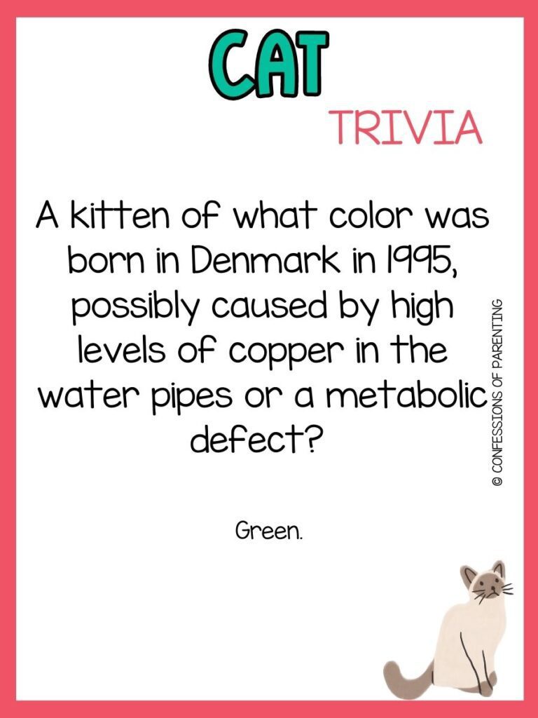 50 Purr-fect Cat Trivia Questions and Answers