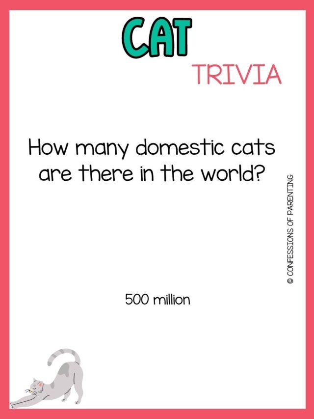 50 Purr-fect Cat Trivia Questions and Answers