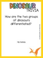 165 Gigantosaurus-ly Fun Dinosaur Trivia Questions and Answers