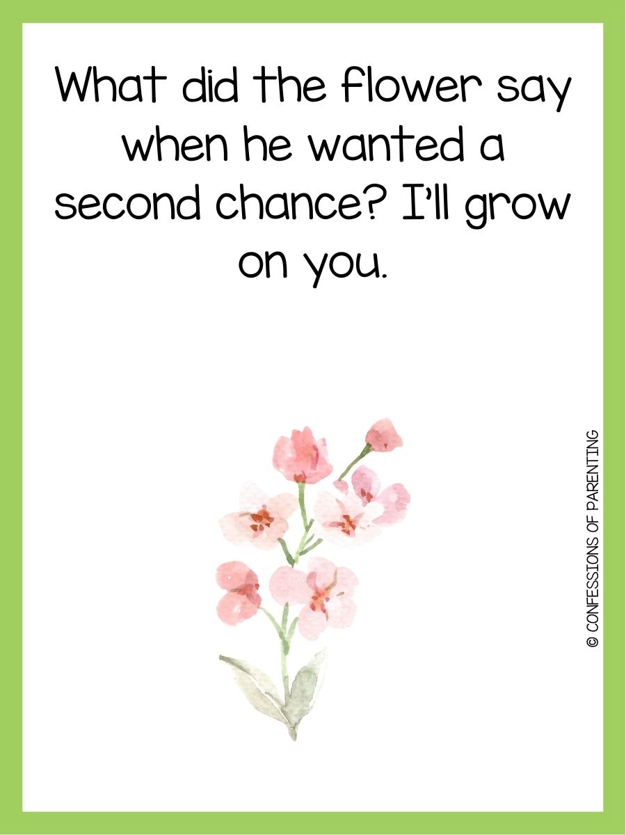 160 Best Flower Puns That Will Make Your Daisy!