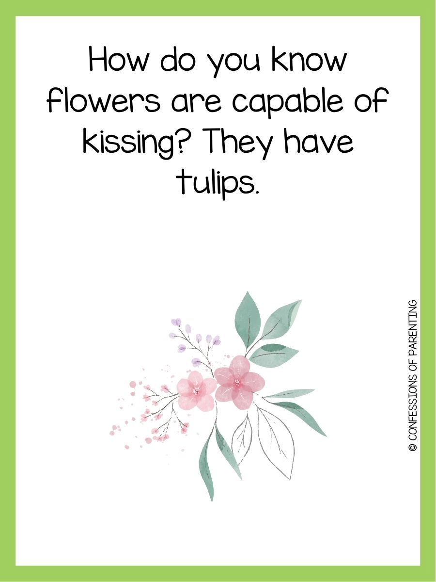 160 Best Flower Puns That Will Make Your Daisy!