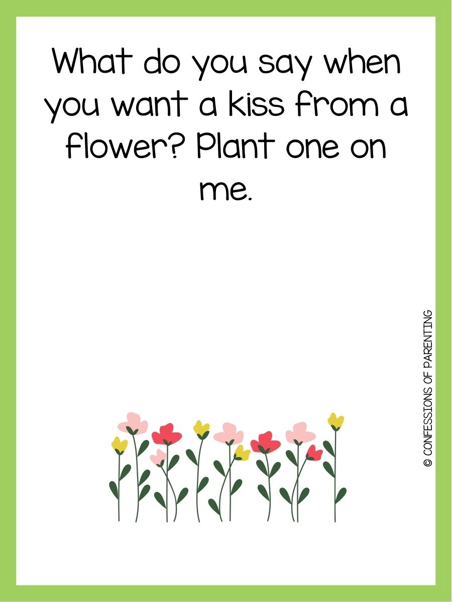 160 Best Flower Puns That Will Make Your Daisy!
