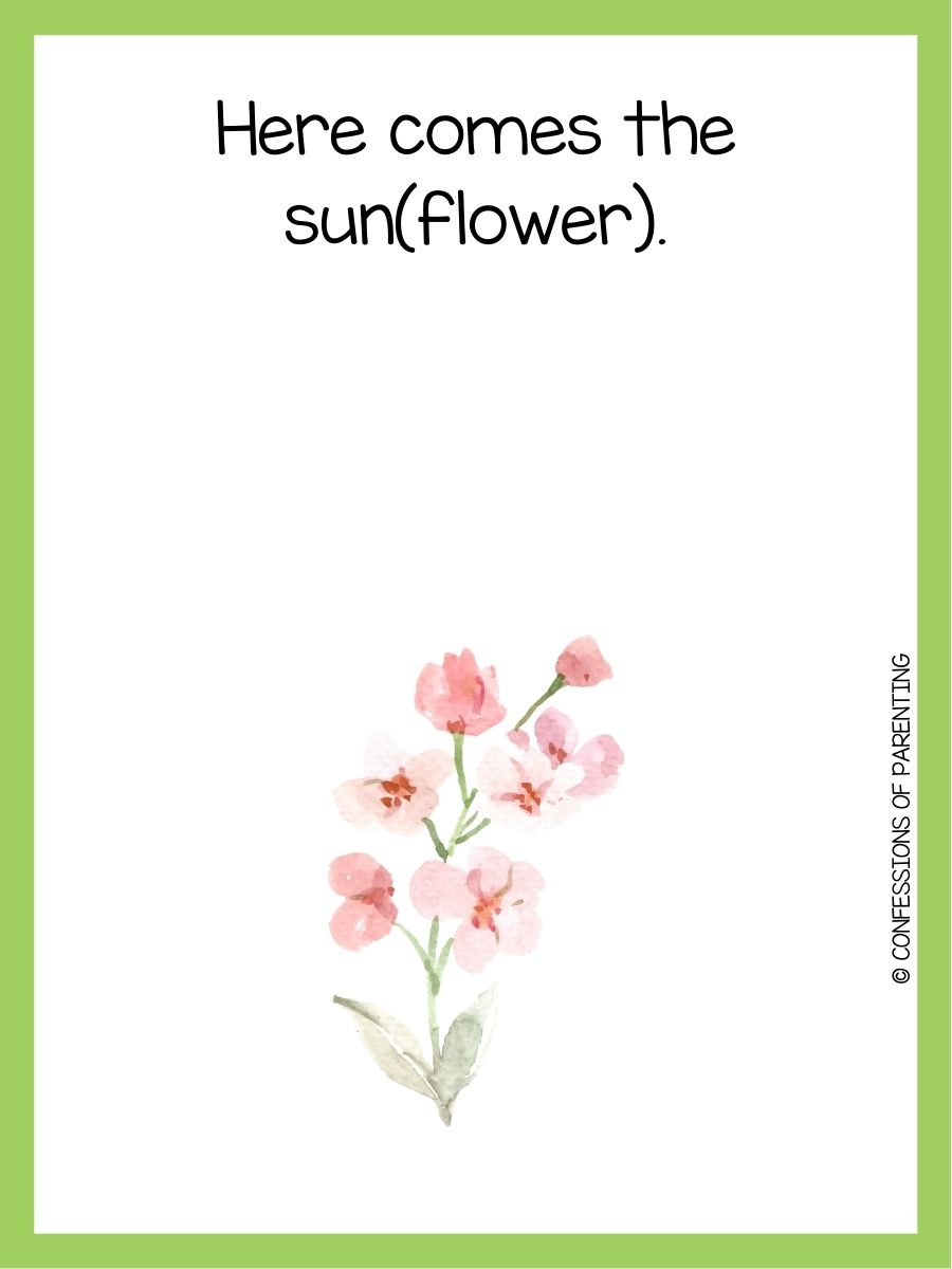 160 Best Flower Puns That Will Make Your Daisy!
