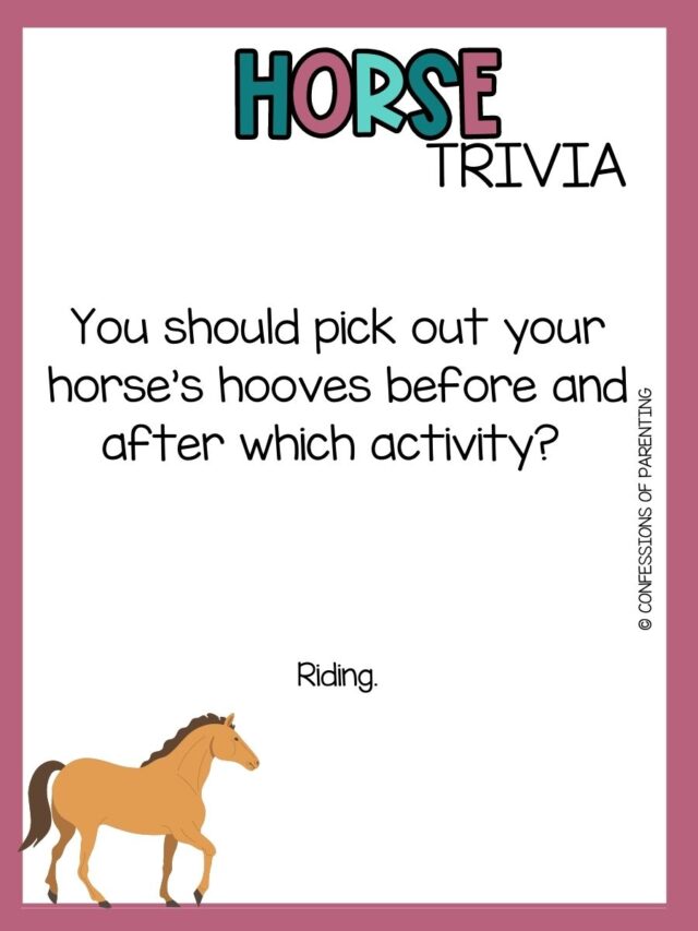 98 Horse Trivia Questions and Answers Perfect for Your Little Equestrian