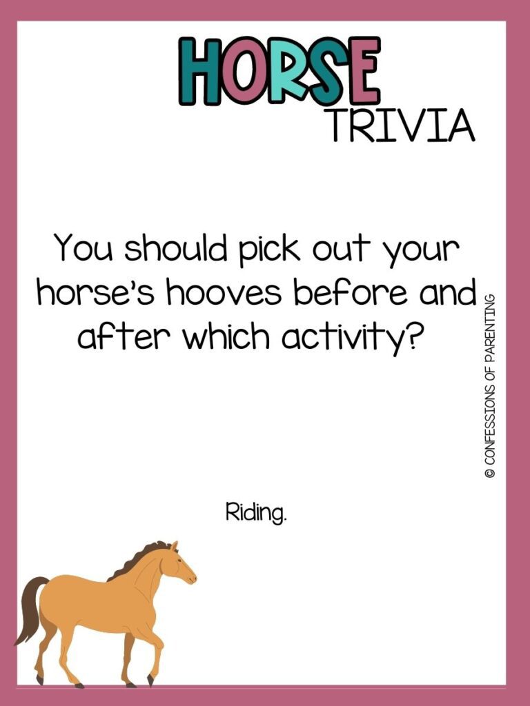 98 Horse Trivia Questions and Answers Perfect for Your Little Equestrian