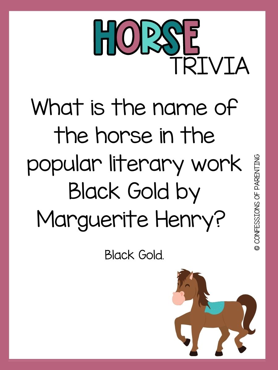 98 Horse Trivia Questions and Answers Perfect for Your Little Equestrian