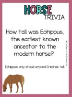 98 Horse Trivia Questions and Answers Perfect for Your Little Equestrian
