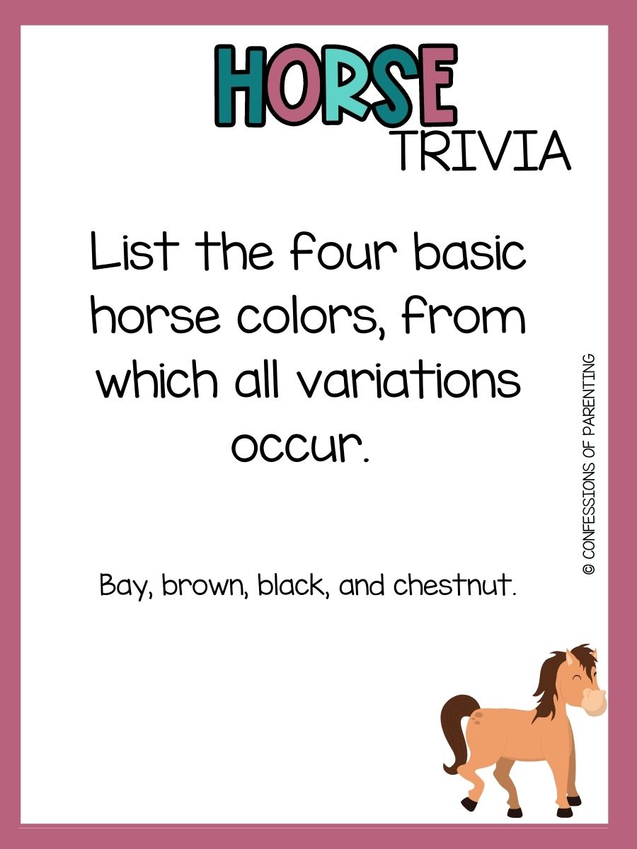 98 Horse Trivia Questions and Answers Perfect for Your Little Equestrian