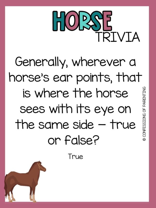 98 Horse Trivia Questions and Answers Perfect for Your Little Equestrian