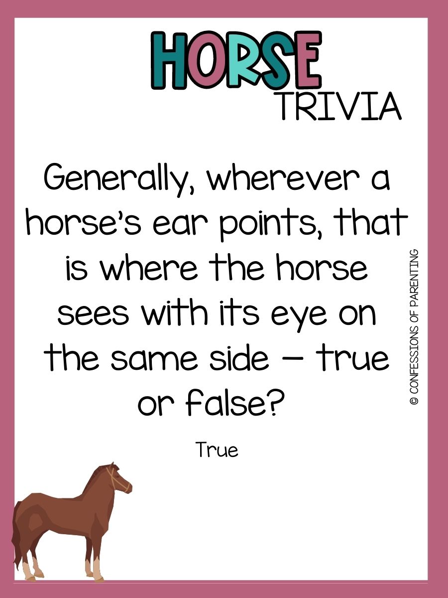 98 Horse Trivia Questions and Answers Perfect for Your Little Equestrian