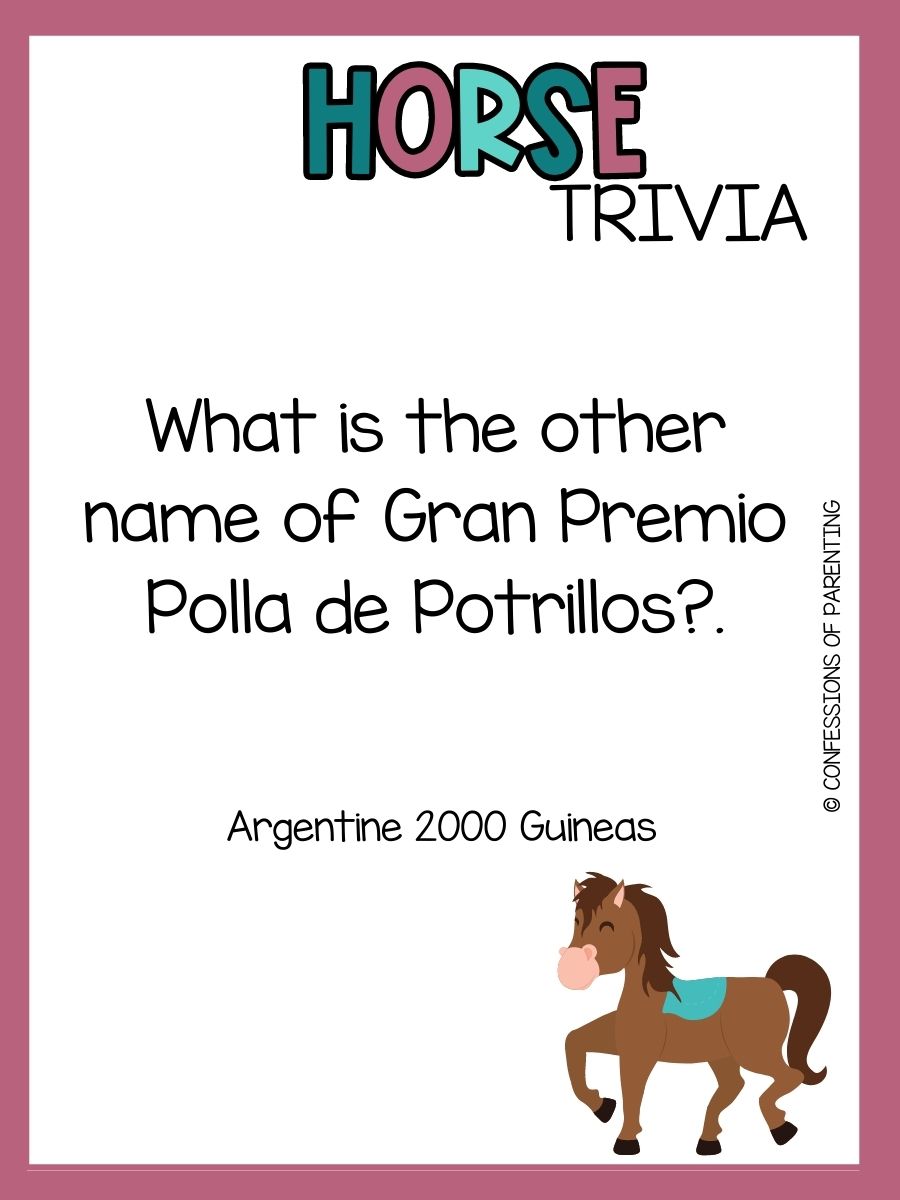 98 Horse Trivia Questions and Answers Perfect for Your Little Equestrian