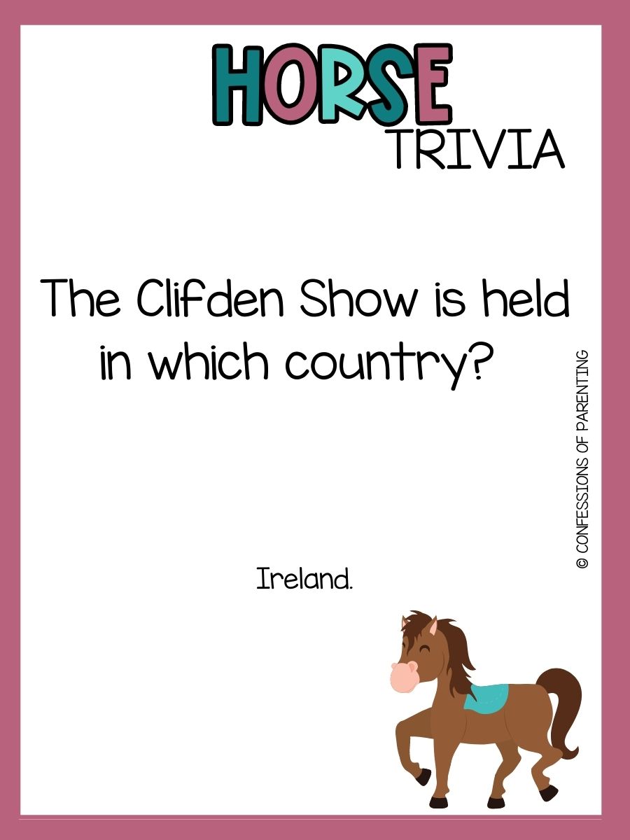98 Horse Trivia Questions and Answers Perfect for Your Little Equestrian