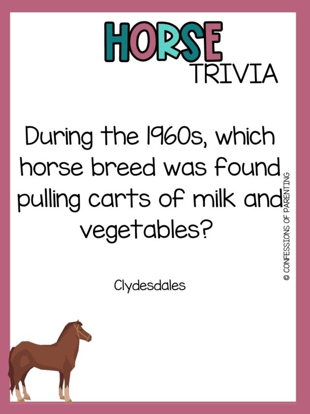 98 Horse Trivia Questions and Answers Perfect for Your Little Equestrian