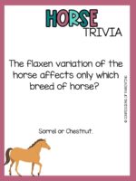 98 Horse Trivia Questions and Answers Perfect for Your Little Equestrian