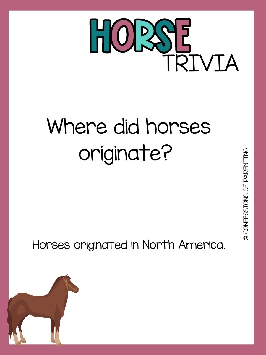 98 Horse Trivia Questions and Answers Perfect for Your Little Equestrian