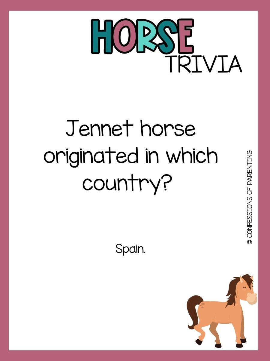 98 Horse Trivia Questions and Answers Perfect for Your Little Equestrian