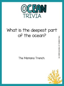 78 Best Ocean Trivia Questions and Answers