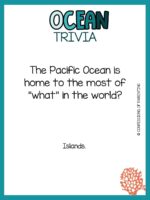 78 Best Ocean Trivia Questions and Answers