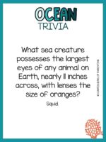 78 Best Ocean Trivia Questions and Answers