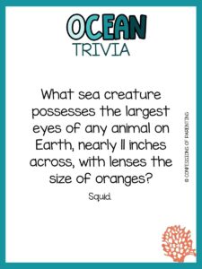 78 Best Ocean Trivia Questions and Answers