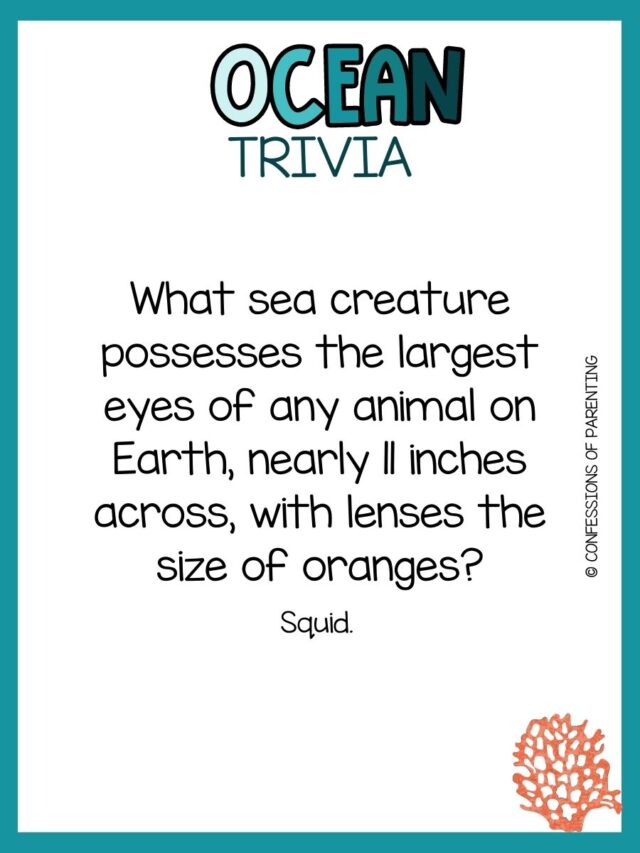 78 Best Ocean Trivia Questions and Answers
