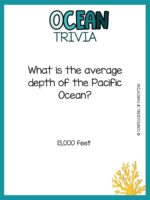 78 Best Ocean Trivia Questions and Answers