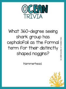 78 Best Ocean Trivia Questions and Answers