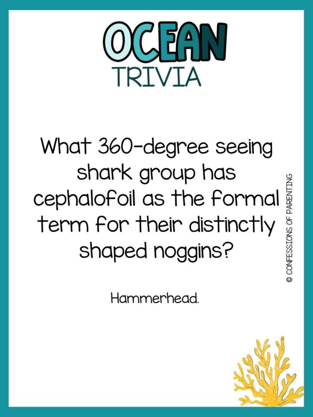 78 Best Ocean Trivia Questions and Answers