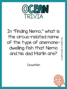78 Best Ocean Trivia Questions and Answers