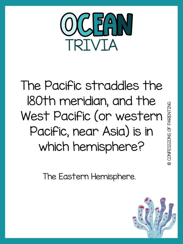 78 Best Ocean Trivia Questions and Answers