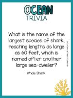 78 Best Ocean Trivia Questions and Answers