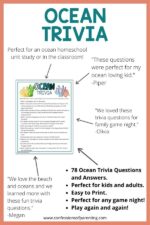 78 Best Ocean Trivia Questions and Answers