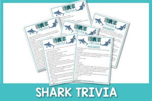 63 Jaw-some Shark Trivia Questions and Answer