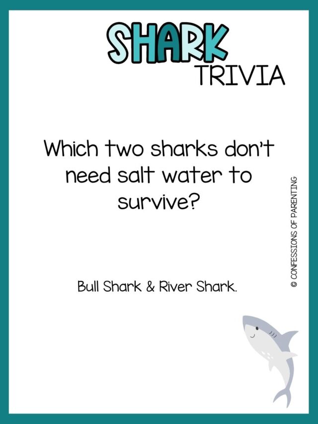 63 Jaw-some Shark Trivia Questions and Answer