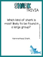 63 Jaw-some Shark Trivia Questions and Answer