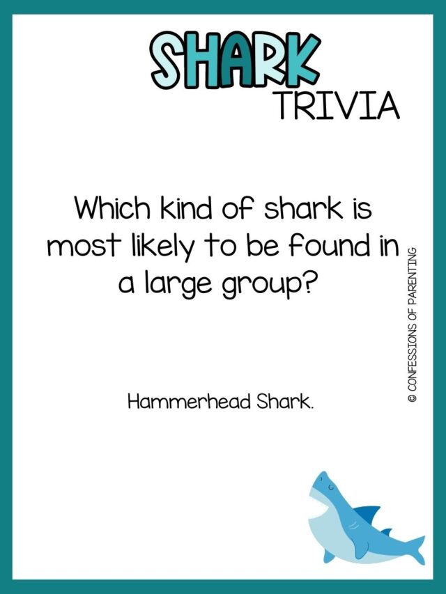 63 Jaw-some Shark Trivia Questions and Answer