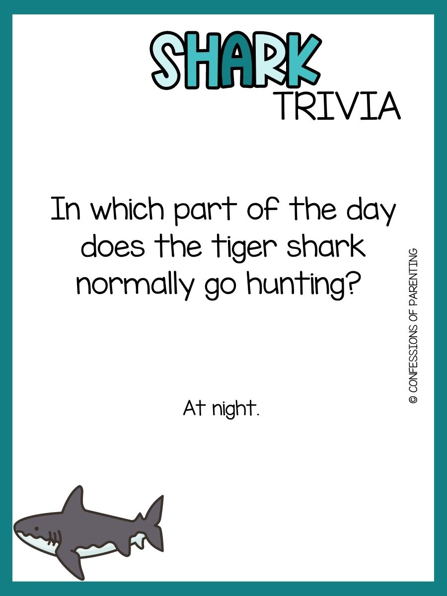 63 Jaw-some Shark Trivia Questions and Answer