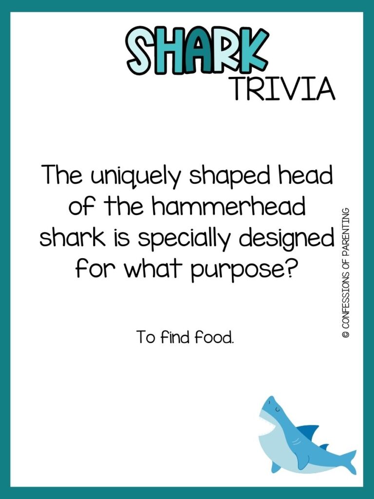 63 Jaw-some Shark Trivia Questions and Answer